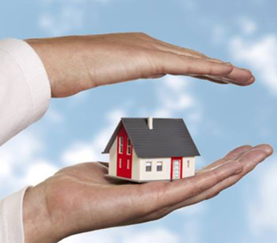 Accurate Insurance Management Services Inc