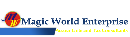 Income Tax Professional Service in Queens NY|Magic World Tax
